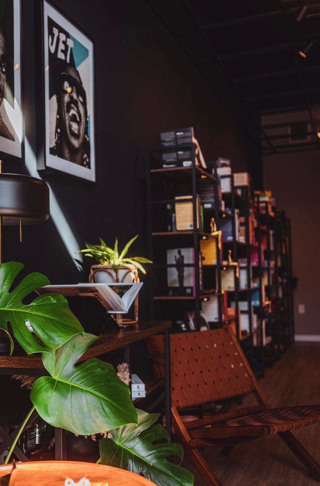 Vinyl and Pages